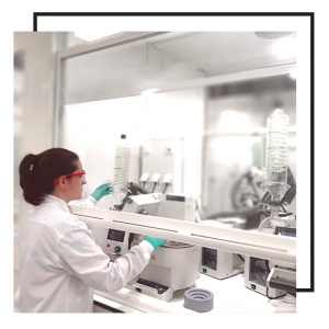 Growth Factor Biology – Agomab Therapeutics